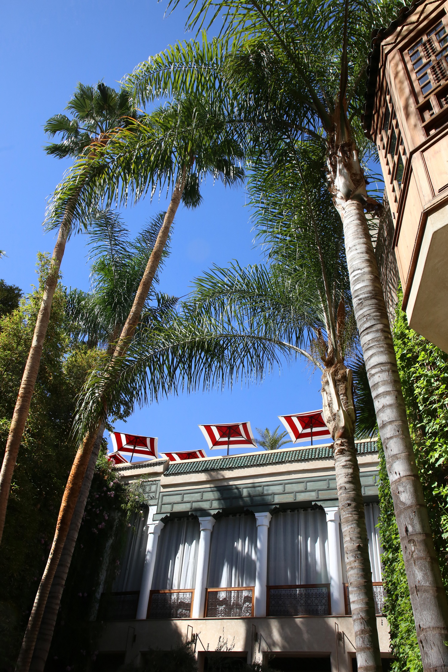 Why visit Marrakech in Autumn | El Fenn Hotel, Restaurant and Rooftop Bar